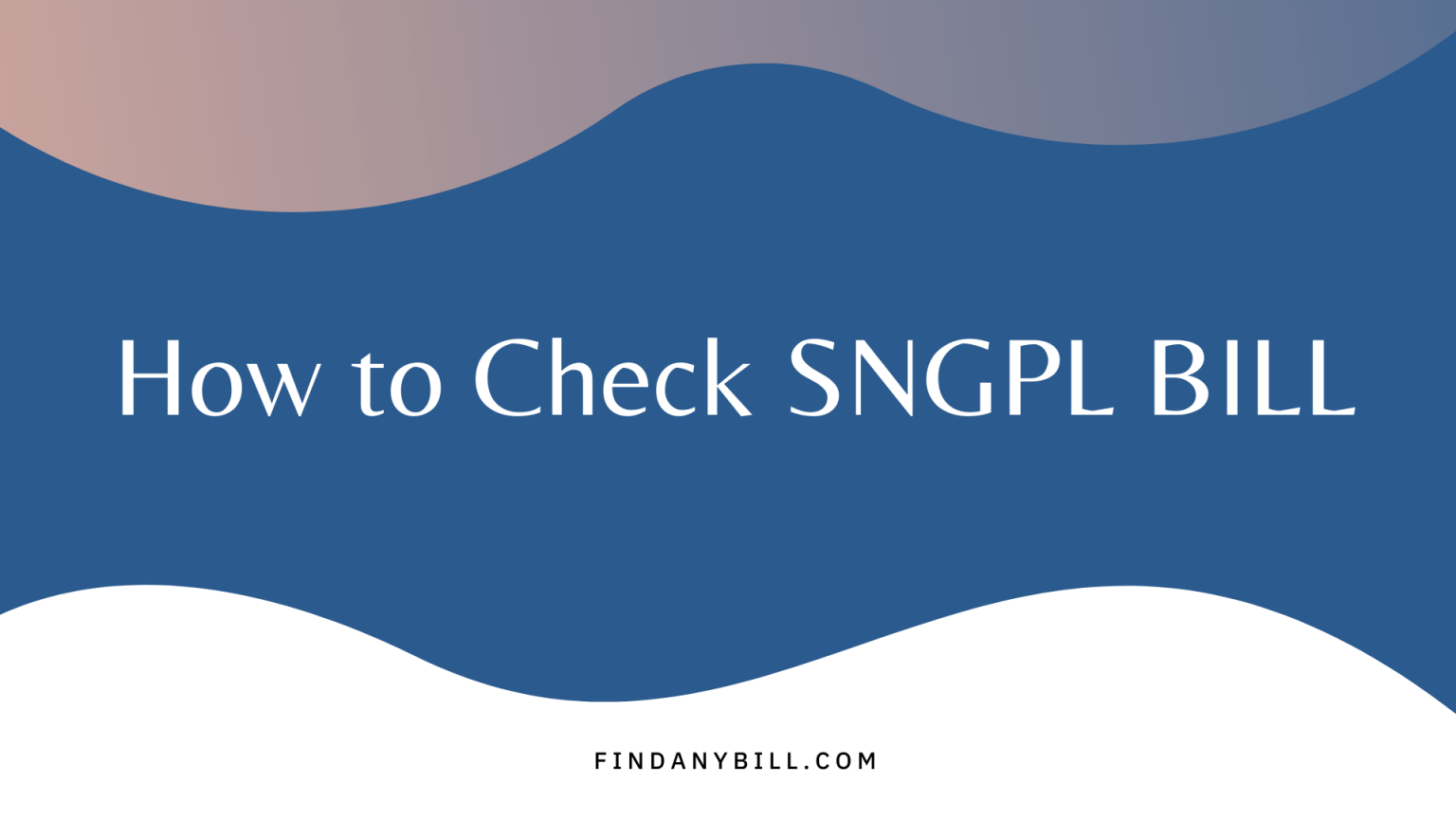 Duplicate Online SNGPL Bill