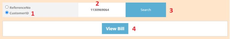 FESCO Online Bill 2025 - Check your Electricity Bill Free